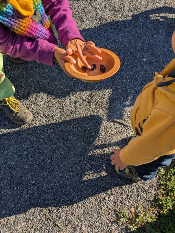 Balades nature pour les tout-petits (de 0 à 3 ans) – Vallée de l'Isle ...